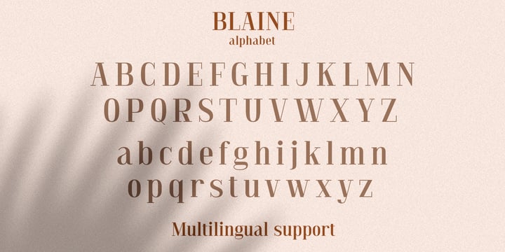 Blaine Font | Webfont & Desktop | MyFonts
