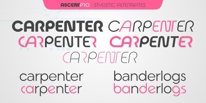 Ascent Pro Font | Webfont & Desktop | MyFonts
