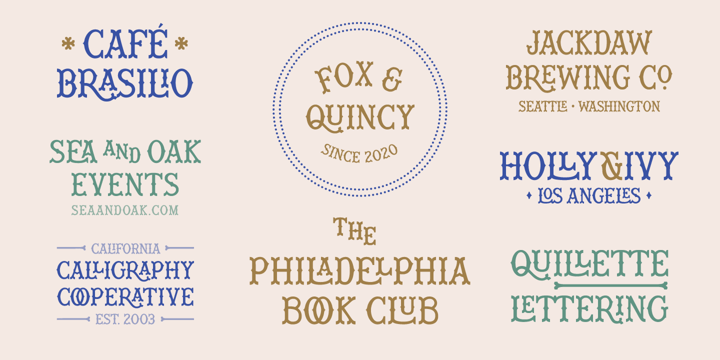 Wiley Font | Webfont & Desktop | MyFonts