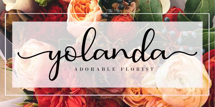 Barbara Calligraphy Font | Webfont & Desktop | MyFonts