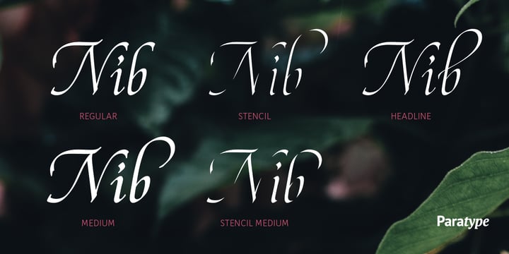 Reed Font | Webfont & Desktop | MyFonts