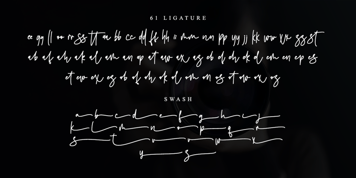 Fillippo Font | Webfont & Desktop | MyFonts