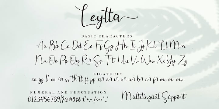 Leytta Font | Webfont & Desktop | MyFonts