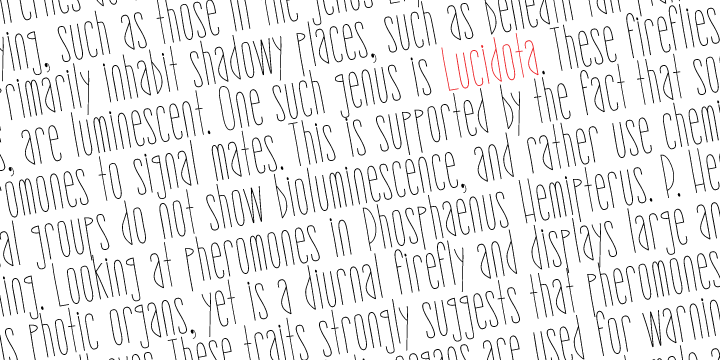 Firefly Font | Webfont & Desktop | MyFonts