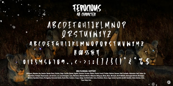 Ferocious Font | Webfont & Desktop | MyFonts