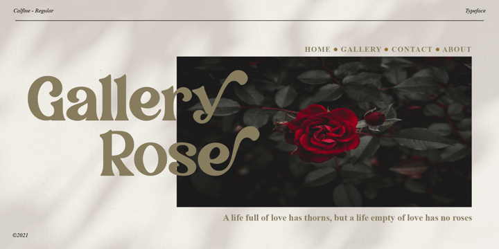 Bleach Font | Webfont & Desktop | MyFonts