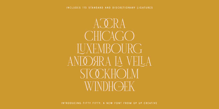 Fifty Fifty Font | Webfont & Desktop | MyFonts