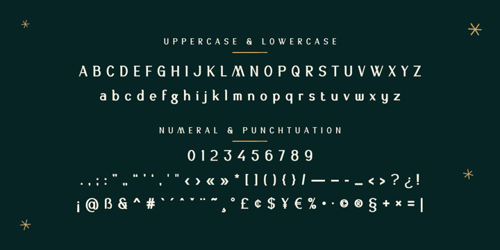 Asetin Font | Webfont & Desktop | MyFonts