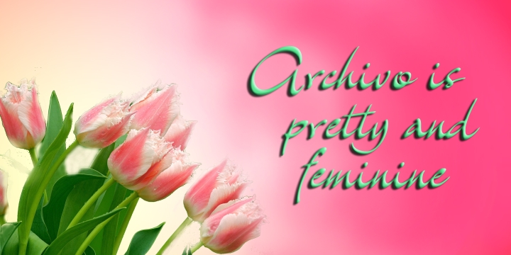 Archivo Font | Webfont & Desktop | MyFonts