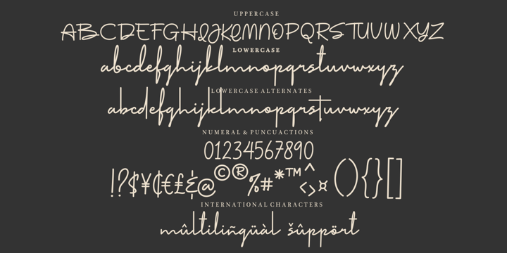 The Stylist Font | Webfont & Desktop | MyFonts