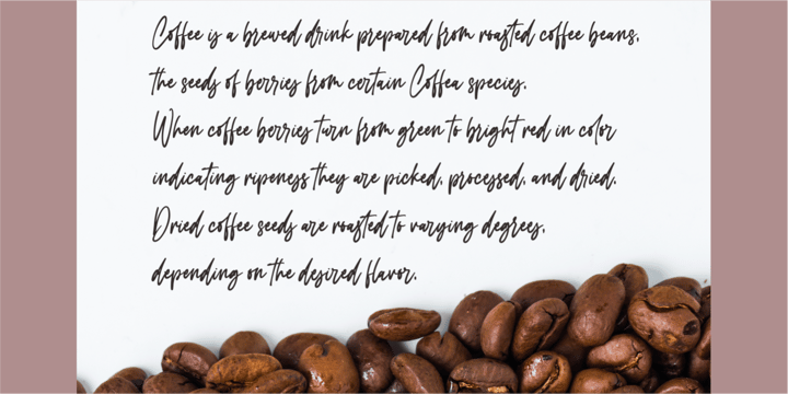 Carolina Signature Font | Webfont & Desktop | MyFonts