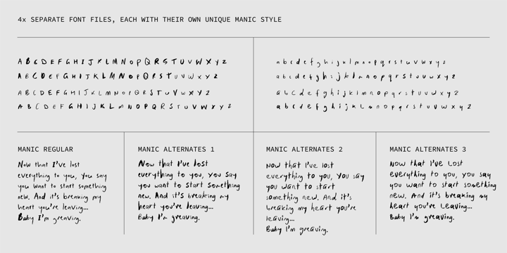 Manic Erratic Font | Webfont & Desktop | MyFonts