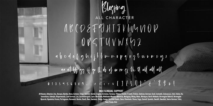 Blessing Font | Webfont & Desktop | MyFonts