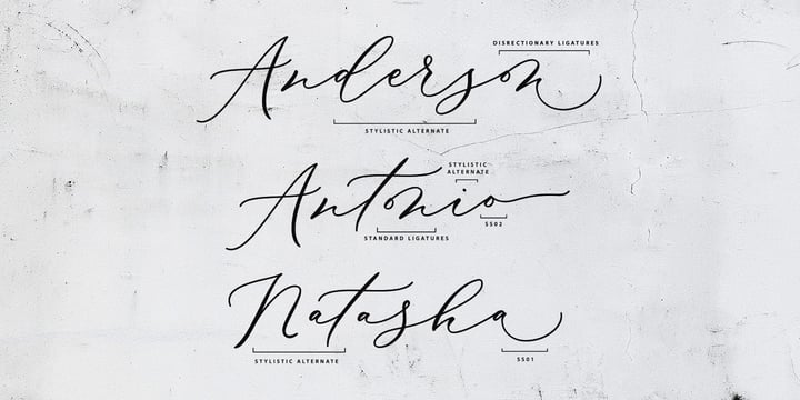 Biancha Script Font | Webfont & Desktop | MyFonts