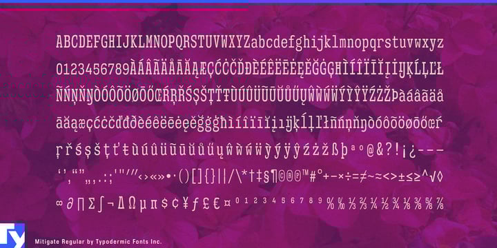 Mitigate Font | Webfont & Desktop | MyFonts