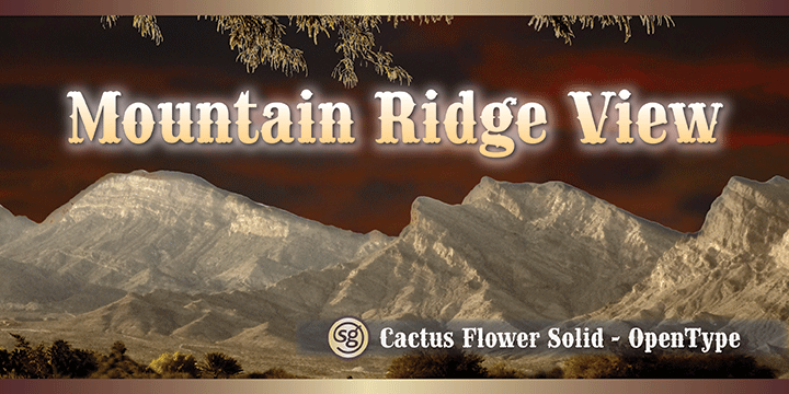 Cactus Flower SG Font | Webfont & Desktop | MyFonts