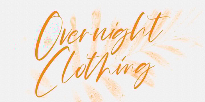 Quiny Alissa Font | Webfont & Desktop | MyFonts