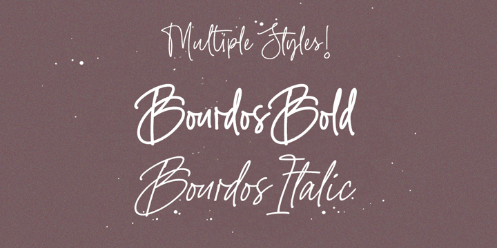 Bourdos Font | Webfont & Desktop | MyFonts