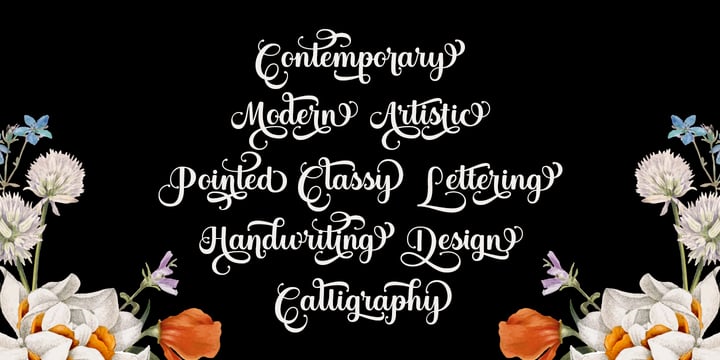 Bertha Script Font | Webfont & Desktop | MyFonts