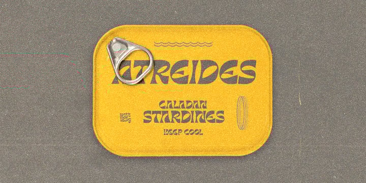 Barbra Font | Webfont & Desktop | MyFonts