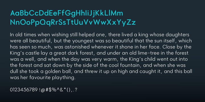 Magnify Font | Webfont & Desktop | MyFonts