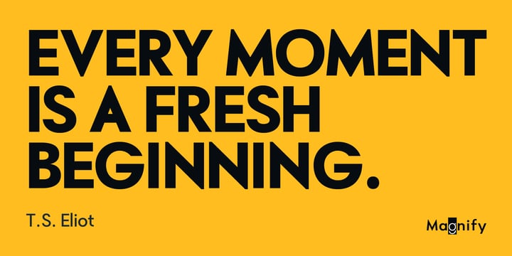 Magnify Font | Webfont & Desktop | MyFonts