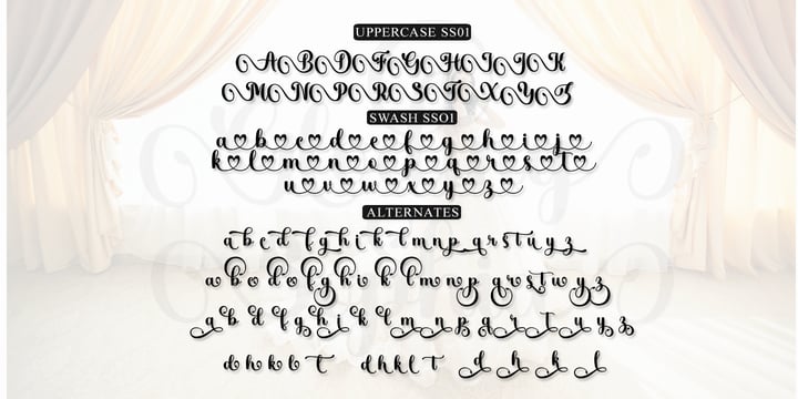 Gloding Sophia Script Font | Webfont & Desktop | MyFonts