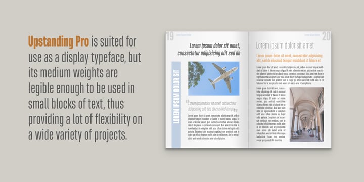 Upstanding Pro Font | Webfont & Desktop | MyFonts