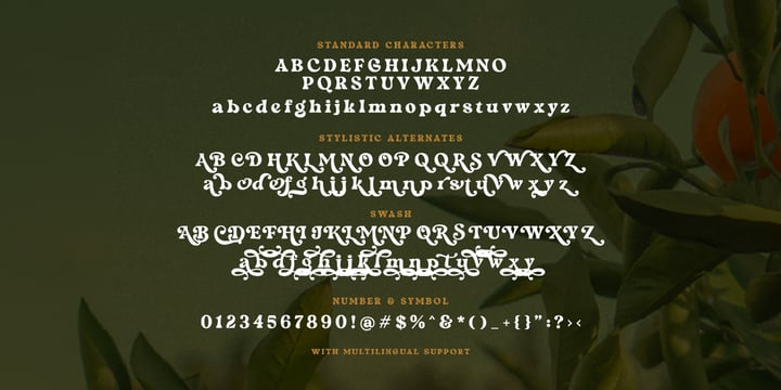 Radnick Font | Webfont & Desktop | MyFonts