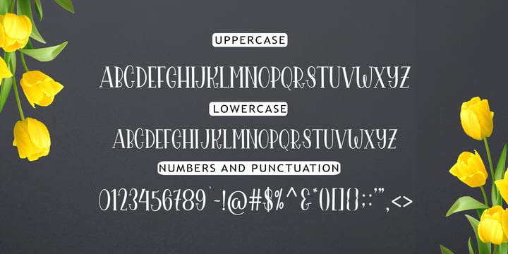 The Angella Script Duo Font | Webfont & Desktop | MyFonts