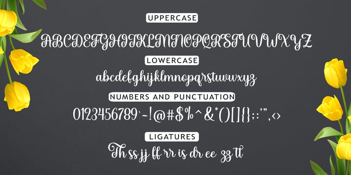 The Angella Script Duo Font | Webfont & Desktop | MyFonts