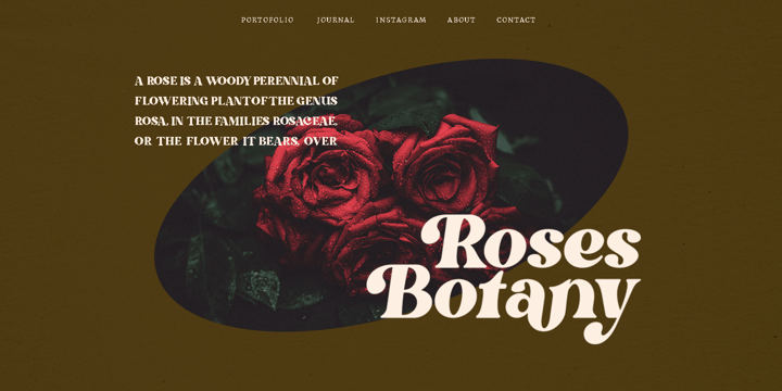 Bright Font | Webfont & Desktop | MyFonts