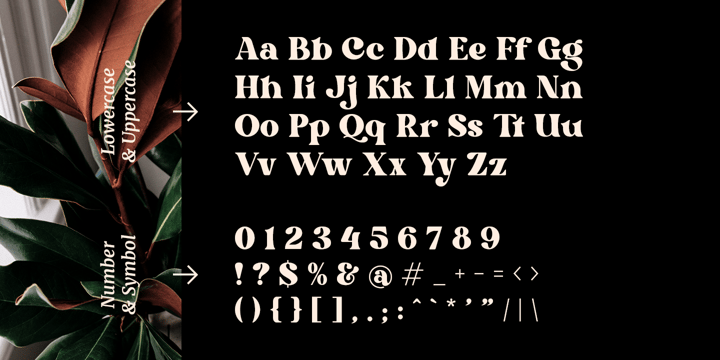 Bright Font | Webfont & Desktop | MyFonts