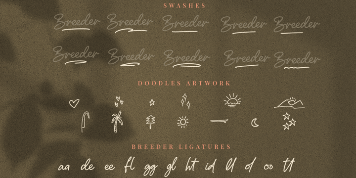 Breeder Font | Webfont & Desktop | MyFonts