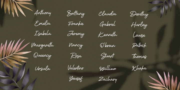 Breeder Font | Webfont & Desktop | MyFonts