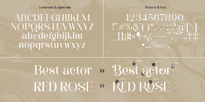 Sejen Font | Webfont & Desktop | MyFonts
