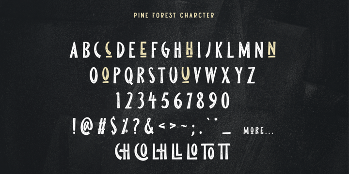 Pine Forest Font | Webfont & Desktop | MyFonts