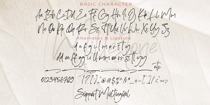 Millestone Font | Webfont & Desktop | MyFonts