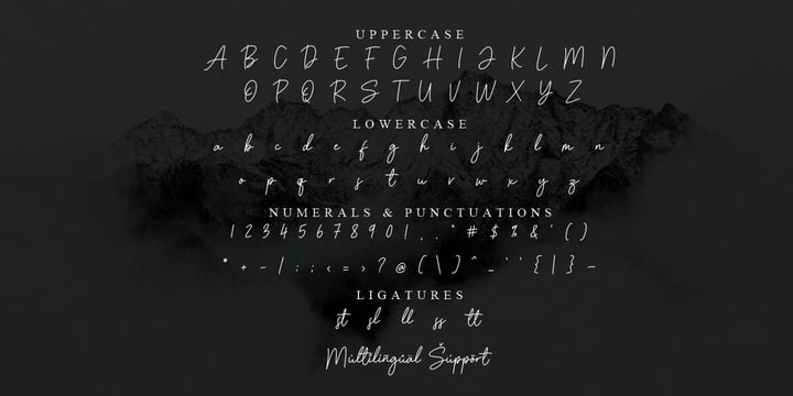 Amstone Font | Webfont & Desktop | MyFonts