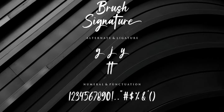 Brush Signature Font | Webfont & Desktop | MyFonts