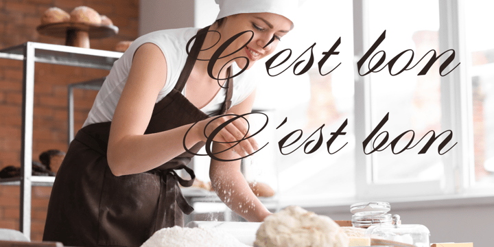 Diane Script Font | Webfont & Desktop | MyFonts