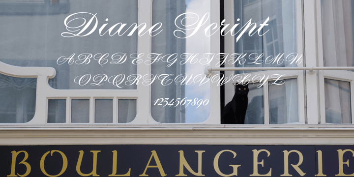 Diane Script Font | Webfont & Desktop | MyFonts