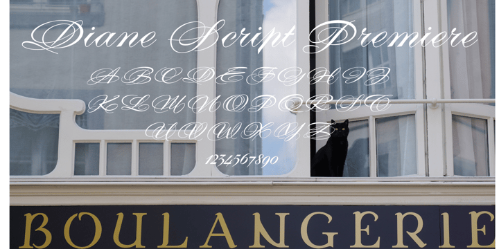 Diane Script Font | Webfont & Desktop | MyFonts
