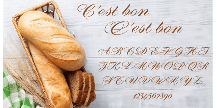 Diane Script Font | Webfont & Desktop | MyFonts