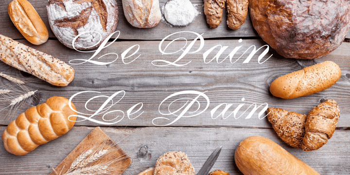 Diane Script Font | Webfont & Desktop | MyFonts