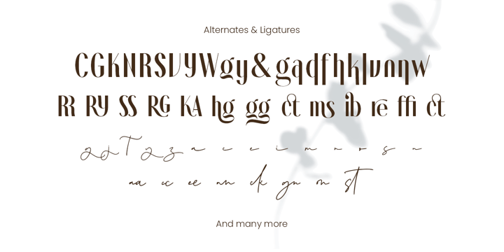 Novita Signora Font | Webfont & Desktop | MyFonts