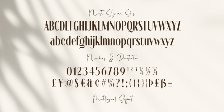 Novita Signora Font | Webfont & Desktop | MyFonts