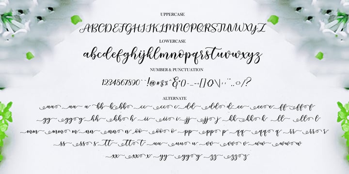 Hamidha Script Font | Webfont & Desktop | MyFonts