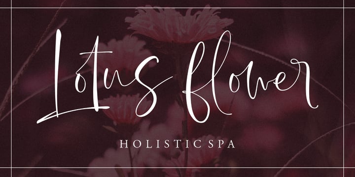 High Class Font | Webfont & Desktop | MyFonts