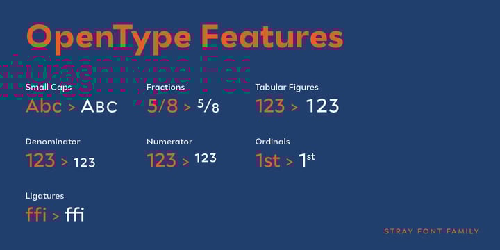 Stray Font | Webfont & Desktop | MyFonts